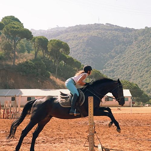 Pegasus Riding Club | BAM By Agenda Culturel