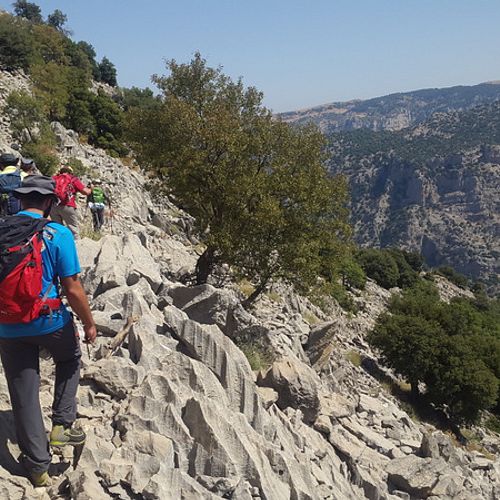 LMT Douma Side Trail P2 | BAM By Agenda Culturel