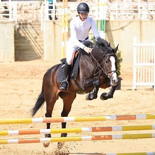 DELETEDDDD - Mechref riding club | BAM By Agenda Culturel