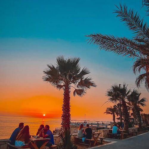 June Beach House | BAM By Agenda Culturel