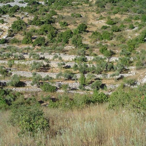 Jabal Al Rihane Biosphere Reserve | BAM By Agenda Culturel