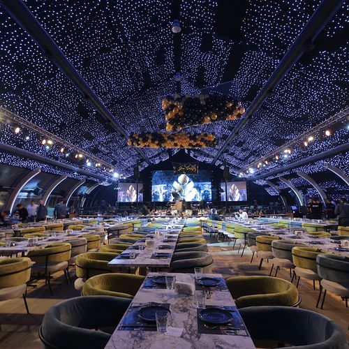 Palms the Legend | BAM By Agenda Culturel